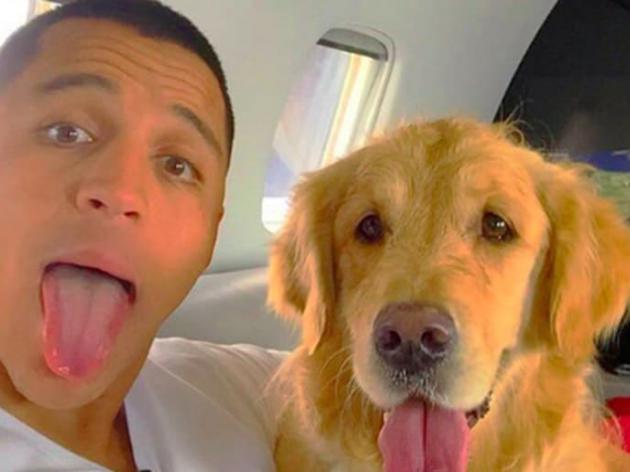 11 Famous Footballers and Their Dogs